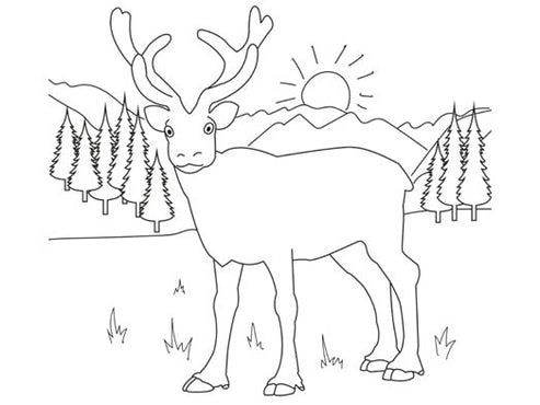 renifery coloring pages